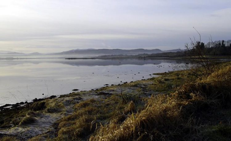 Birdwatching on the Beauly Firth – Merkinch Nature Reserve - Great ...