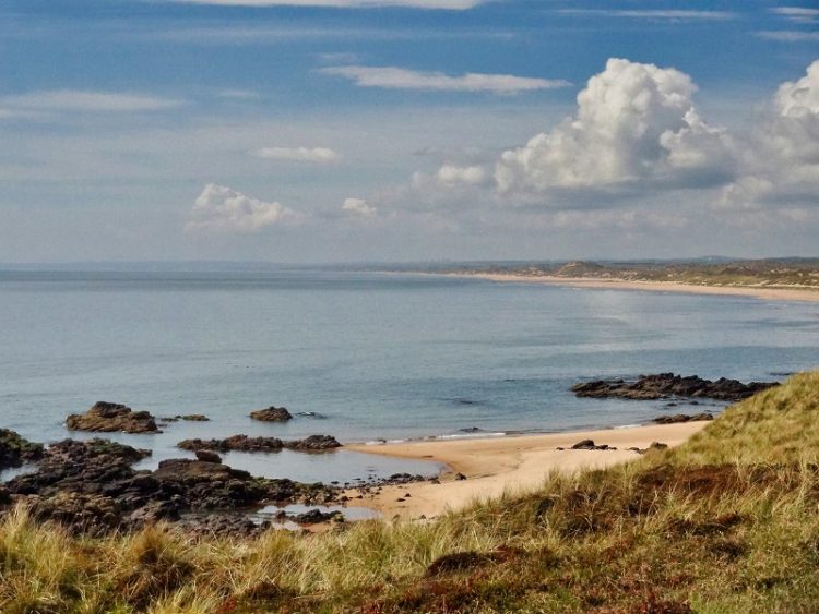 Seal Pup Playground – Forvie National Nature Reserve - Great British Coast